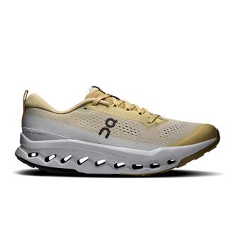 On Cloudsurfer Trail 2