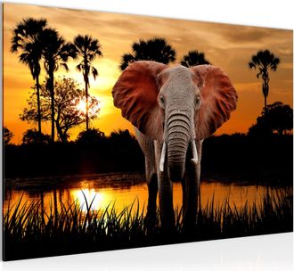 Runa Art Bild Afrika Elefant Modern Wandbilder Wohnzimmer Schlafzimmer 1 Teilig - Made In Germany - Panorama Savanne Orange Flur 001915a