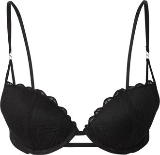 Triumph BH That Night In Vegas