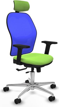 Piqueras y Crespo Ergonomischer Stuhl mit 2D-Armen, h&ouml;henverstellbare Lendenwirbelst&uuml;tze und h&ouml;henverstellbares Kopfteil, Blau / Pistazie