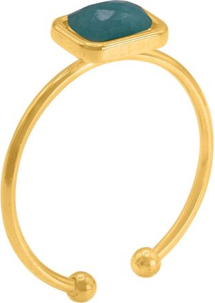Heideman Ring Picto