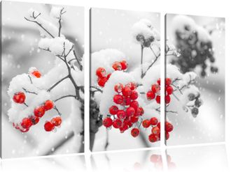 Pixxprint Rote Vogelbeeren im Winter B&W, Leinwandbild 3 Teilig, Gesamtma&szlig;: 120x80cm, Wandbild, Dekoration, fertig gespannt, Kein Poster