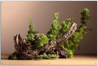 Wallario Outdoor-Poster f&uuml;r Garten oder Balkon Komposition aus Holz und Gr&uuml;n, Motivbanner Gr&ouml;&szlig;e: ca. 60 x 90 cm, Outdoor-Bild