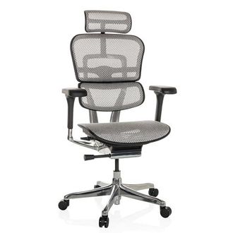hjh OFFICE Chaise de Bureau Ergonomique ERGOHUMAN GEN2 Design Original, Utilisation 24h/24, Fauteuil de Bureau avec Soutien Lombaire Flexible, Filet Gris Clair