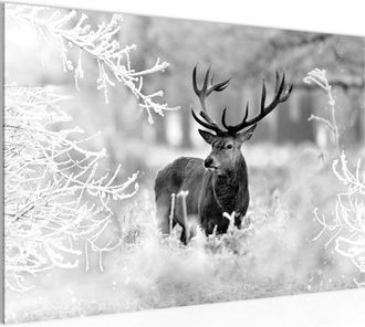 Runa Art Bild Winter Hirsch Modern Wandbilder Wohnzimmer 1 Teilig - Made In Germany - Waldtiere Schwarz Weiss Flur 004115b