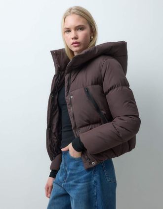 Threadbare kurze Steppjacke mit Kapuze in Braun
