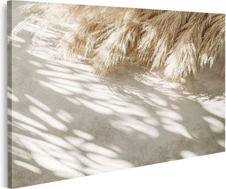 Islandburner Bild auf Leinwand Pampasgras im Sonnenlicht mit Schattenspiel Bilder Wandbilder Poster