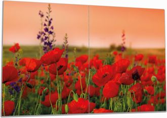 Wallario Herdabdeckplatte/Spritzschutz aus Glas, 2-teilig, 80x52cm mit 13 mm hohen Füßen, für Ceran- und Induktionsherde, Mohnblumen auf dem Feld