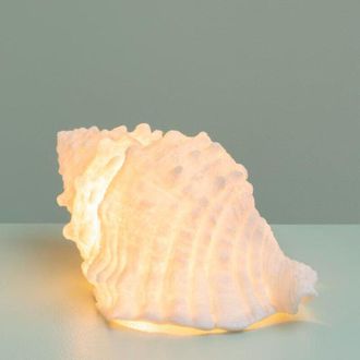 Chehoma Lampe &agrave; Poser Coquillage Blanche en R&eacute;sine et Poudre de Pierre 43x22x17cm