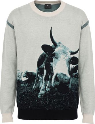Paul Smith STRICKWAREN - Pullover auf YOOX.COM