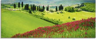 Artland ARTland Wanddeko Glasbilder Wandbild Glas Bild einteilig 125x50 cm Querformat Natur Landschaft Gebirge Blumen Toskana Mediterran T5NU