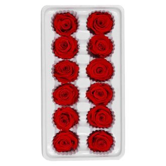 Garneck Unsterbliche Rose 12 St&uuml;ck Kasten 3 4cm Konservierte Rote Bl&uuml;tenk&ouml;pfe Hochzeit Selbstgemacht Dekoration