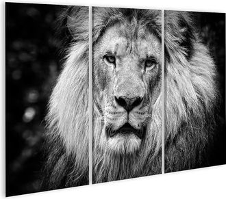 Islandburner Bild auf Leinwand Schwarz Weiss M&auml;nnlicher Afrikanischer L&ouml;we Lion King Bilder Wandbilder Poster INPR-3P