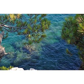 Ceanothe Tableau sur toile calanques de Marseille 45x65 cm D&eacute;coration Murale Art D&eacute;coratif Muraux Peinture Imprim&eacute;e en HD Salon Chambre Bureau Bois de For&ecirc;t FS