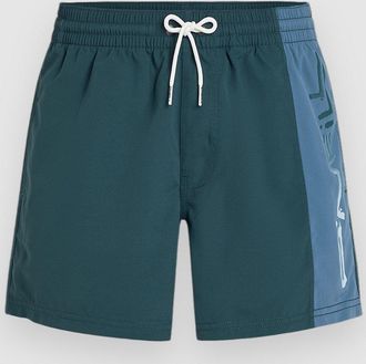 O'Neill Retro 14 Boardshorts alma steel colour block