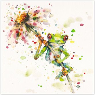 Posterlounge Laubfrosch mit Blume Poster von Sillier Than Sally 30 x 30 cm Wandbilder Wanddeko