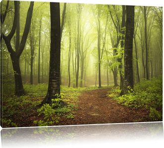 Pixxprint Sonniger Weg im atemberaubenden Wald, Größe: 100x70cm, Leinwandbild, fertig gespannt, Wandbild, Dekoration, Kunstdruck, kein Poster