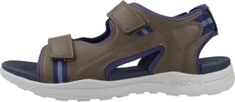 Geox Homme, Chaussures, Brun, Taille: 39 EU Vaniett