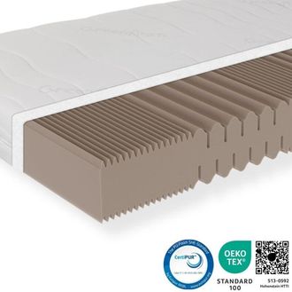 Sleepneo Matelas &agrave; couches froides 160x200- H5 -18 cm matelas 160x200- avec housse Active Greenfirst