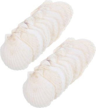 Valiclud 35stücke Große Weiße Jakobsmuscheln Für Dekoration Muschelhandwerk Und Küsten-DIY-projekte Strandmuscheln Zur Heimdekoration Und Aquariengestaltung