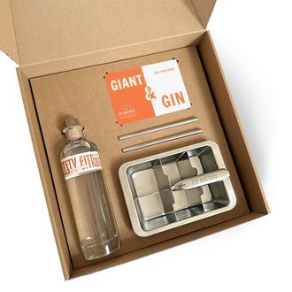 Eco Brotbox Giant & Gin Geschenkset von ECO Brotbox | Eiswürfelform für riesen Eiswürfel & kurze Trinkhalme aus Edelstahl | 350 ml Gin von DSM | Plastikfrei verpa