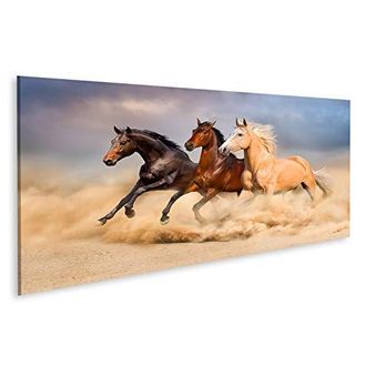 Islandburner Tableau sur Toile Troupeau de Chevaux Trois Chevaux au Galop Chambre denfant &eacute;quitation Cadre Affiche Poster Murale Tableaux