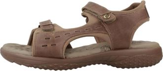 Panama Jack Femme, Chaussures, Brun, Taille: 39 EU Nilo Basics B4 Napa Grass