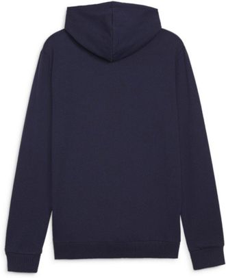 Puma Hoodie TeamGoal CasuaLongsleeve Hoody