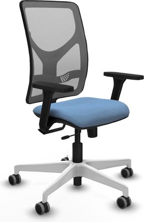 Piqueras y Crespo Lendenwirbelst&uuml;tzstuhl mit 3D-Armlehnen, ausgestattet mit Syncro/Traslack und Schneideschaum, mit Rollen 65 mm, Parkett, Grau/Himmelblau