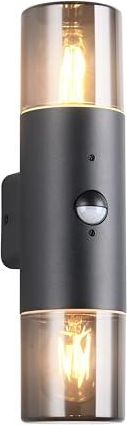 Trio Leuchten Außen Wandleuchte Hoosic 222260232, Druckguss Aluminium Schwarz matt, Schirm Acryl rauchfarbig, exkl. 2x E27, Bewegungssensor