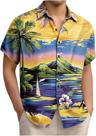Generic Chemise hawa&iuml;enne d&eacute;contract&eacute;e et confortable pour homme - Col rabattu - L&eacute;g&egrave;re et respirante - Classique - Chemise de plage &agrave; manches courtes - Chemi