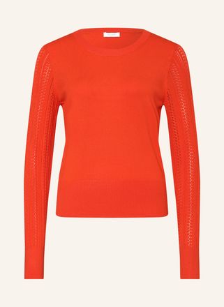Hobb's Pullover orange