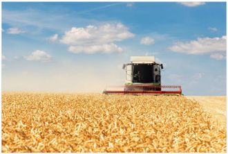 Wallario K&uuml;chenr&uuml;ckwand aus Glas 90 x 60 cm, Motiv: Erntezeit auf dem Feld | Spritzschutz abwischbar & pflegeleicht