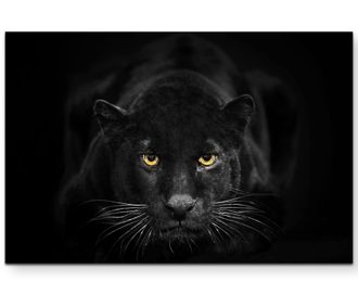 Paul Sinus Art Leinwandbilder | Bilder Leinwand 120x80cm schwarzer Panther