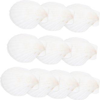 Pretyzoom 40 Stck Teiliges Natürliche Weiße Jakobsmuscheln Muscheln für DIY Bastelarbeiten Aquarium Dekoration Strandparty Tischdeko Wohnaccessoires