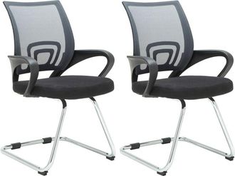 Clp 2er Set Freischwinger Eureka grau