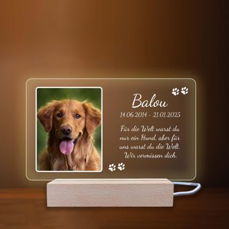 Indigos UG LED Lampe personalisiert - Gedenktafel - quer, Bild klein - Haustier, Hund, Katze - Wunschbild, Wunschtext - personalisierte Lampe - Geschenk, Familie