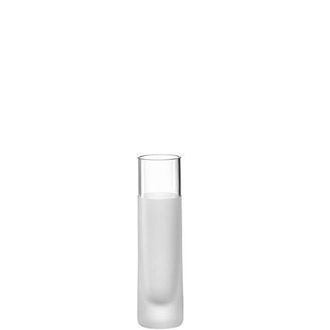 Leonardo Leonardo Novara Deko-Vase aus satiniertem Glas in modernem Design, schmale, zylinderförmige Glasvase für einzelne Blumen als Solifleurvase, Höhe: 16,4
