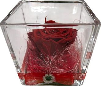 Generico Rose PRÉSERVÉE Rouge - Cube en Verre - Rose Rouge préservée éternelle - Roses Rouges préservées - Fleur préservée - Cadeau Romantique