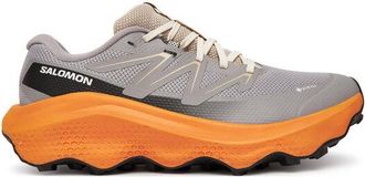 Salomon Laufschuhe Ultra Flow 2 Gore-Tex L47884200 Grau