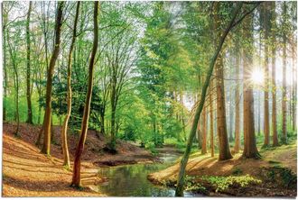 Reinders Poster, Wald in der Sonne, Wohnzimmer, Poster, Wanddeko, Room Decor, 150 gr. gl&auml;nzend Bilderdruckpapier, Gr&uuml;n, 61 x 91,5