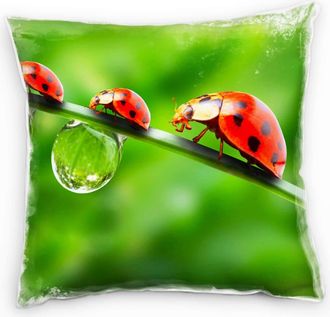 Paul Sinus Art Tiere, Marco, grün, rot, Marienkäfer Deko Kissen 40x40cm für Couch Sofa Lounge Zierkissen - Dekoration zum Wohlfühlen