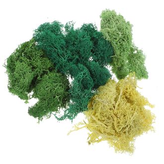 Cabilock Konserviertes Moos 4 St&uuml;ck Nat&uuml;rliches Trockenmoos in Gelb Gr&uuml;nt&ouml;nen Vielseitiges Selbstgemacht Moos f&uuml;r Blumenarrangements Topfpflanzen und Partydeko