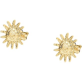 Cleor Boucles doreilles en argent 925/1000