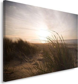 Feeby Wandbild - 1 Teilig - 40x50 cm, Leinwand Bild Leinwandbilder Bilder Wandbilder Kunstdruck, STRAND, GRAS, NATUR, BRAUN