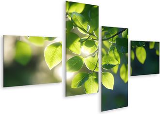 Islandburner Bild auf Leinwand Sonnenlicht durch grüne Blätter Bilder Wandbilder Poster