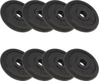 vidaXL Hantelscheiben 8 Stk. 8x2,5 kg Gusseisen Vidaxl