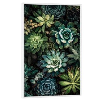 artboxONE Poster mit weiem Rahmen 75x50 cm Natur Sukkulenten und Kakteen R - Bild sukkulenten Blumen Blumen