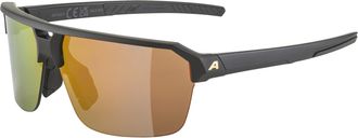 Alpina Swift HR - Stylische Sonnenbrille für Erwachsene, black-gold matt