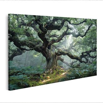Islandburner Leinwandbild Uralter Baum im dichten Wald mit Lichtstrahlen und Moos - Leinwand 80x40cm
